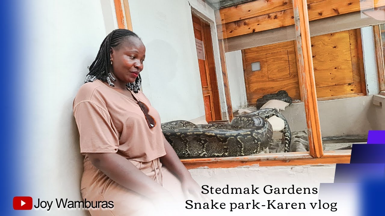 SNAKE PARK AT STEDMARK GARDEN KAREN - Snakes Sanctuary || 4K Video ...