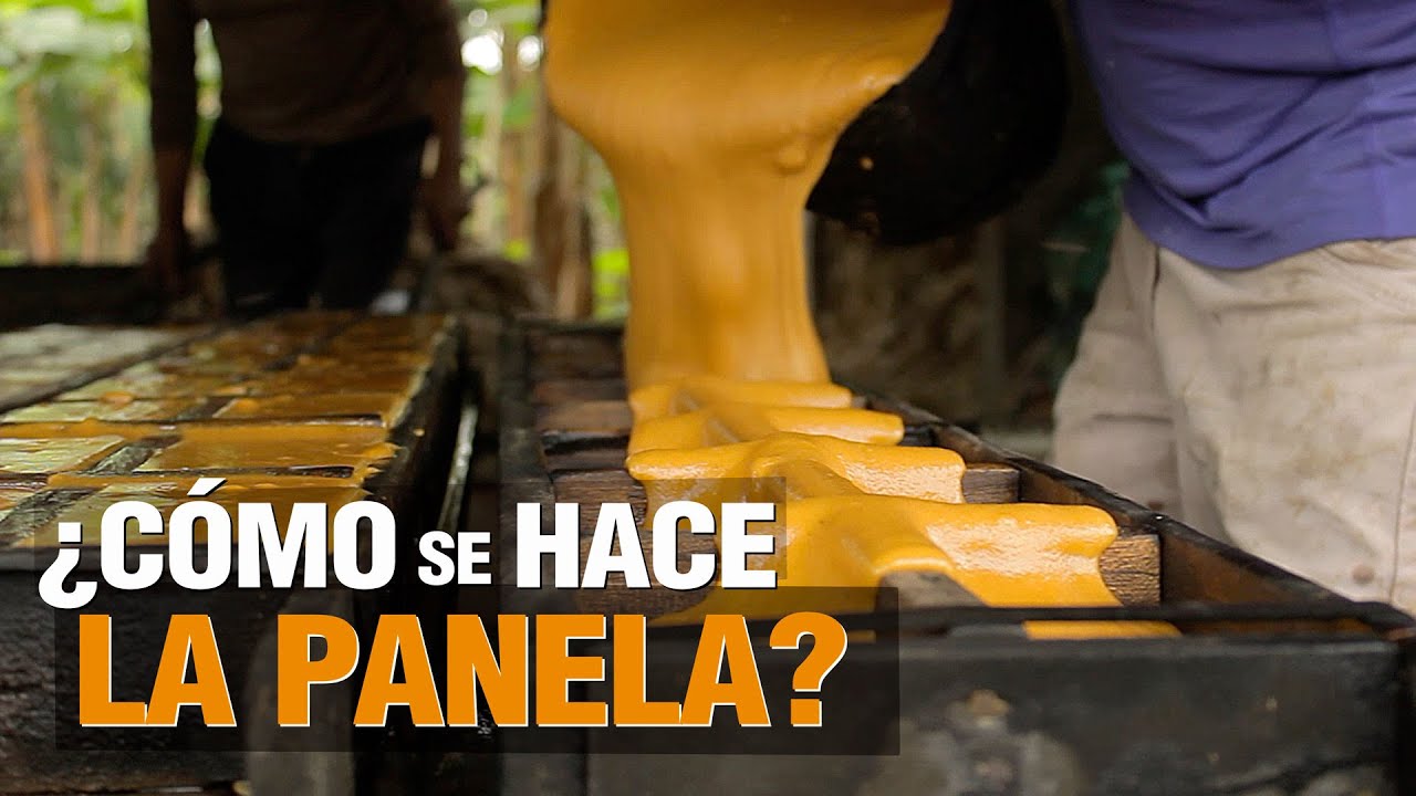 CÓMO hacer PANELA ? - Paso a Paso #agriculture - YouTube