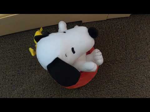 Snoopy and Woodstock ride the Hallmark Spinning Dog Dish Animatronic ...