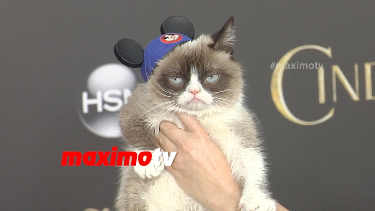 Grumpy Cat Was Asked to Smile...Yeah, Right! "Cinderella" World ...