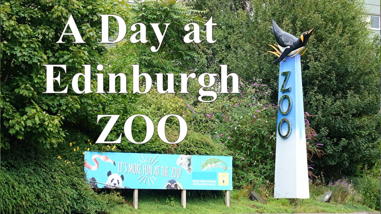 A Visit to Edinburgh Zoo, July 2020 - YouTube