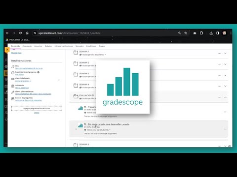 Examen GRADESCOPE - YouTube
