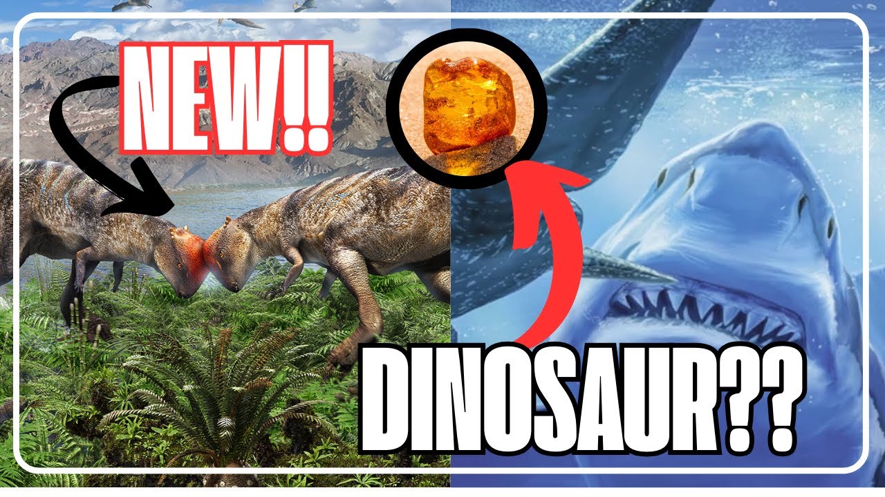 OLDEST PACHYCEPHALOSAURUS FOUND, SHARK EVOLUTION & MORE!!! - PALEO ...