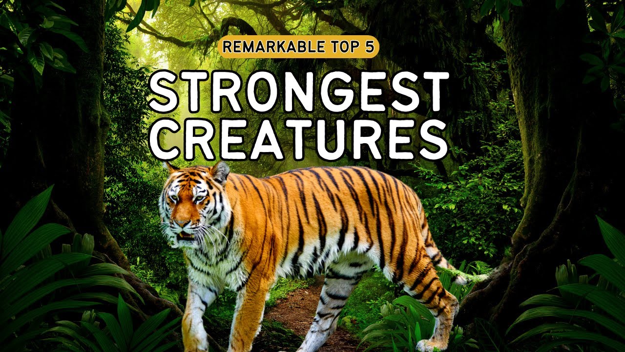 Remarkable Top 5 Strongest Creatures - YouTube