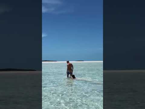 I never look back #amandacerny