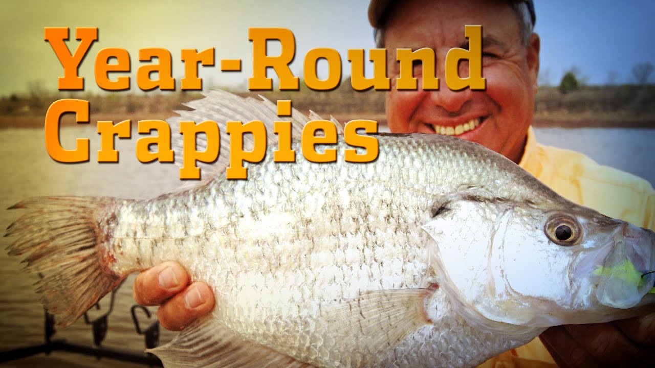 Year-Round Monster Crappie Fishing - YouTube