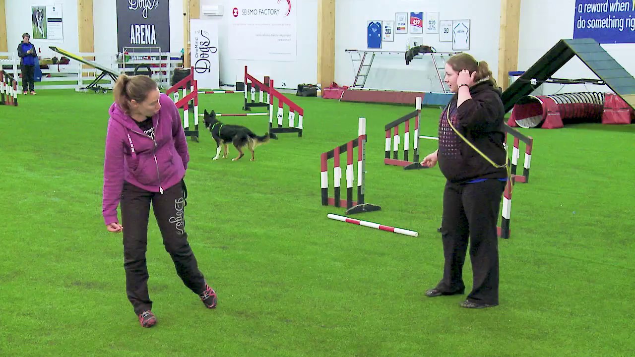International Agility Training Week - Training the Tandem Turn ...