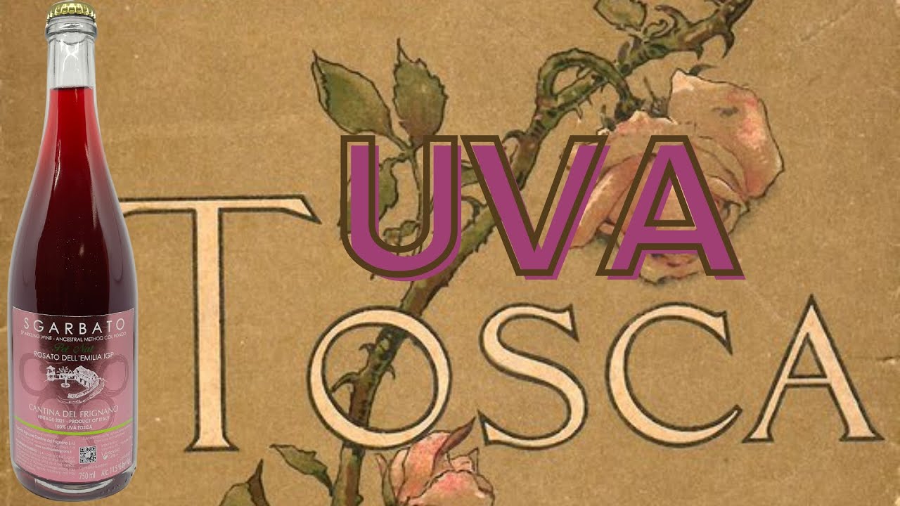 All About UVA TOSCA, a hyper local grape variety from Emilia-Romagna ...