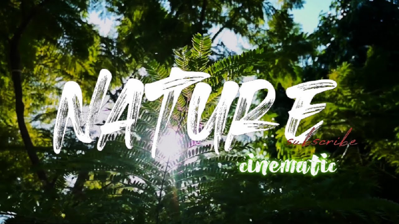 Into the nature || Nature Cinematic / B-roll nature film || cinematic ...