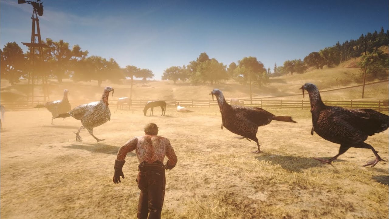 RDR2 - Hunting all turkeys in a ranch - YouTube