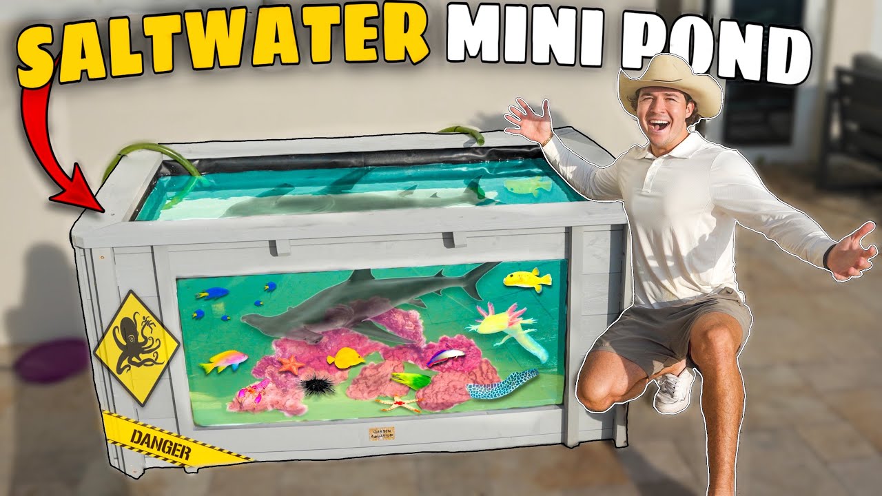 Building My NEW Mini SALTWATER POND!! *adding fish* - YouTube