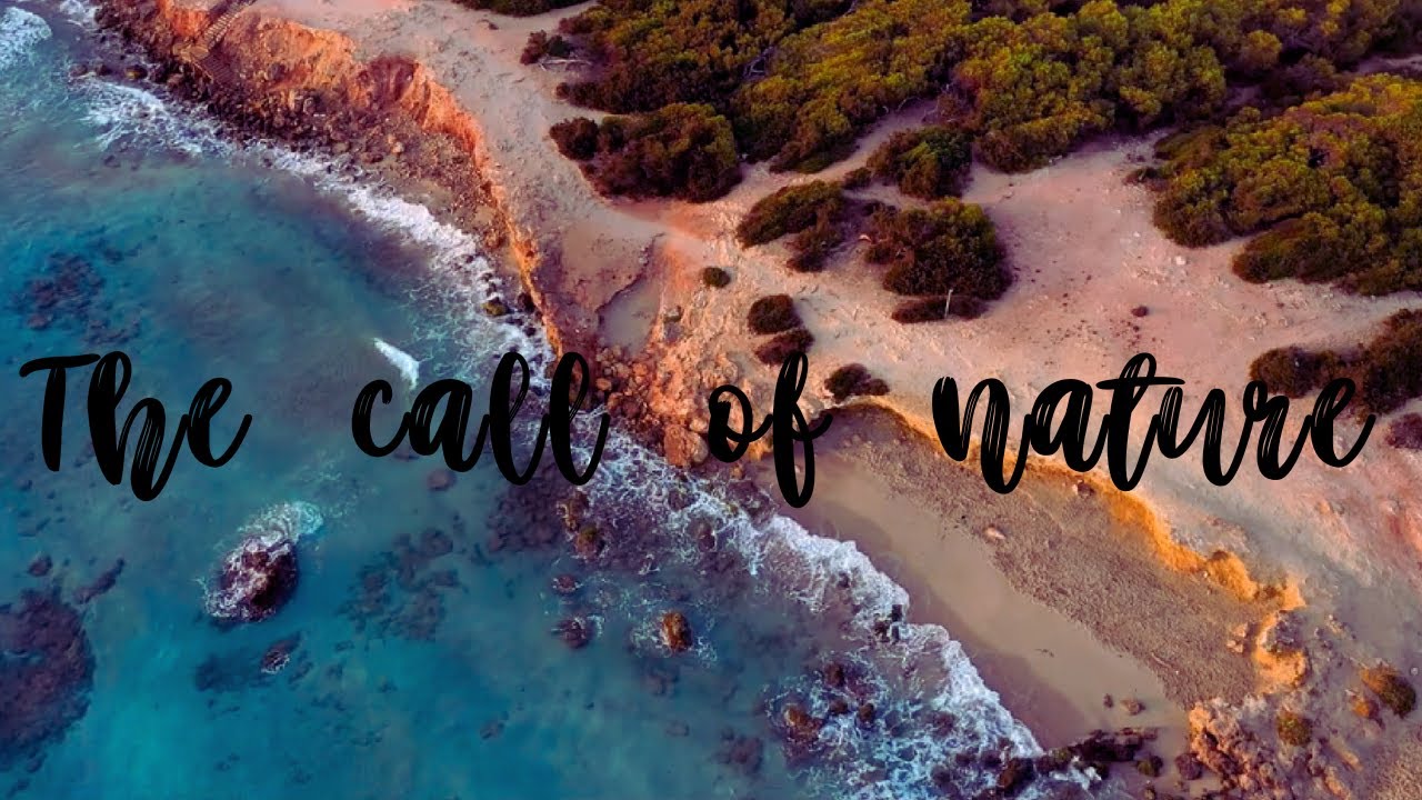 THE CALL OF NATURE 🌊 | MEDITATION MUSIC - YouTube