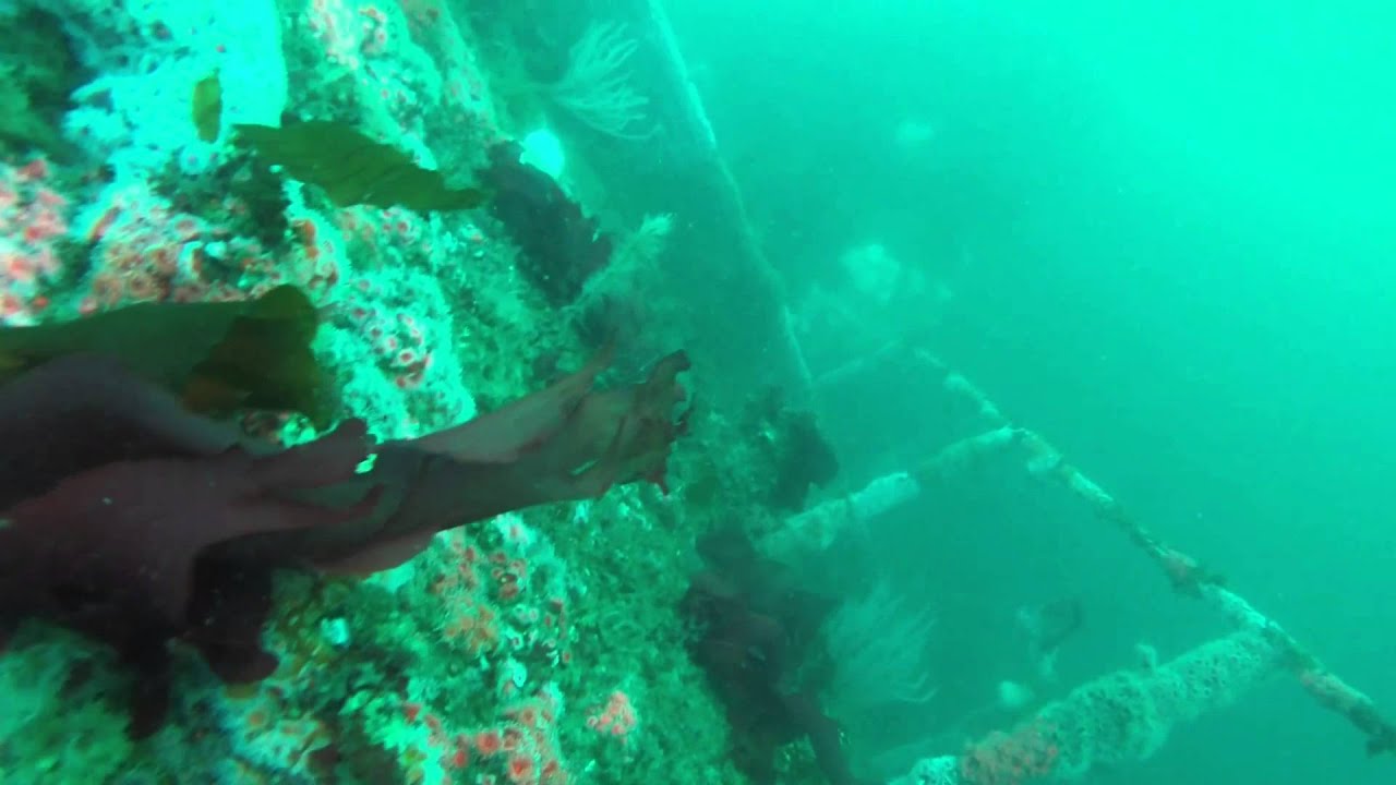 HMCS Yukon Wreck San Diego 09 21 14 - YouTube