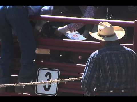 Arizona Junior Bull Riding Championships Documentary - YouTube