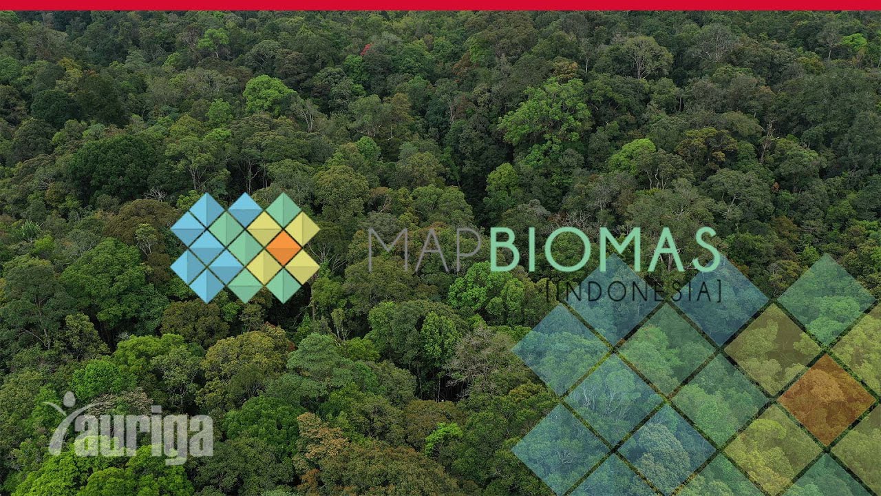 [Teaser] Mapbiomas Indonesia - YouTube