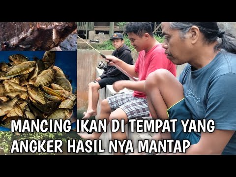 mancing ikan di tempat yang angkar tapi liat hasil nya huh banyak ...