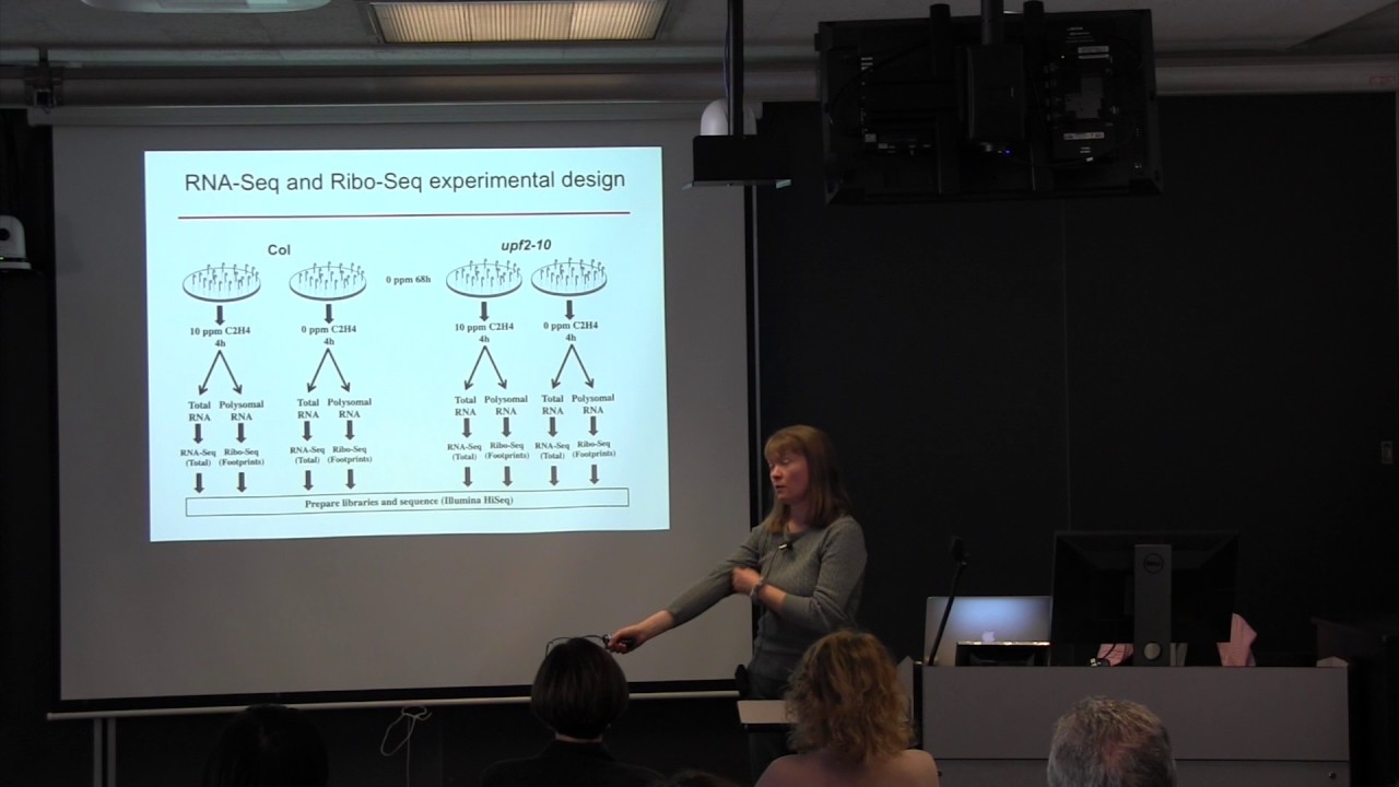 Anna Stepanova: Translational regulation of ethylene responses - YouTube