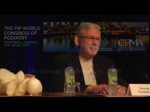 FIP World Congress Biomechanics Panel Discussion - Morning Session ...