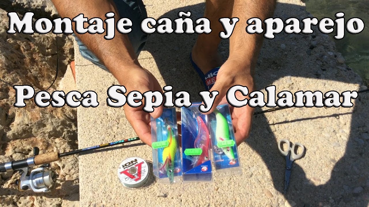 Iniciación a la de Pesca Sepia y Calamar: Montaje CAÑA y APAREJO o pajarito ÚTIL - YouTube