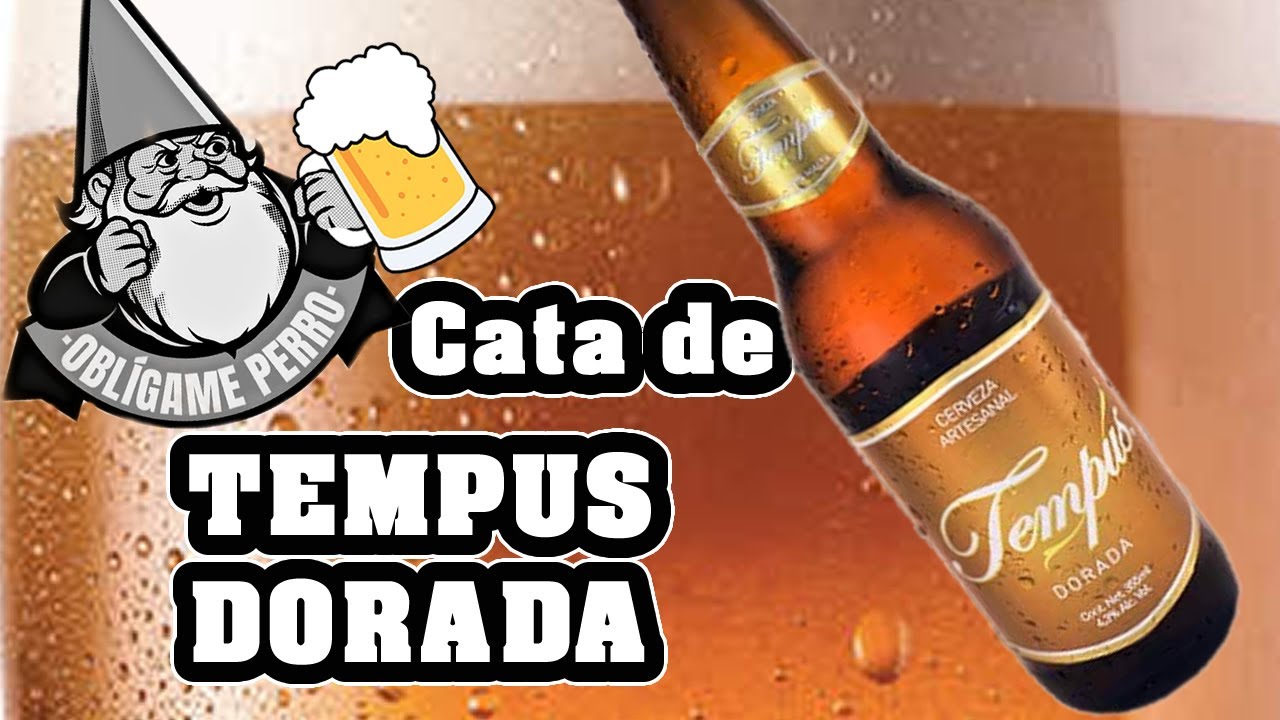 CERVEZA TEMPUS DORADA REVIEW 🍺🍺🍺 - YouTube