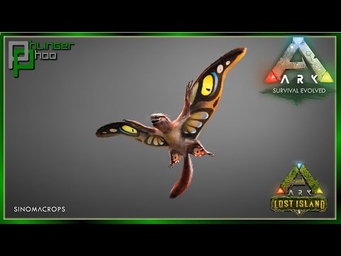 Ark Basics - Sinomacrops and The News - YouTube