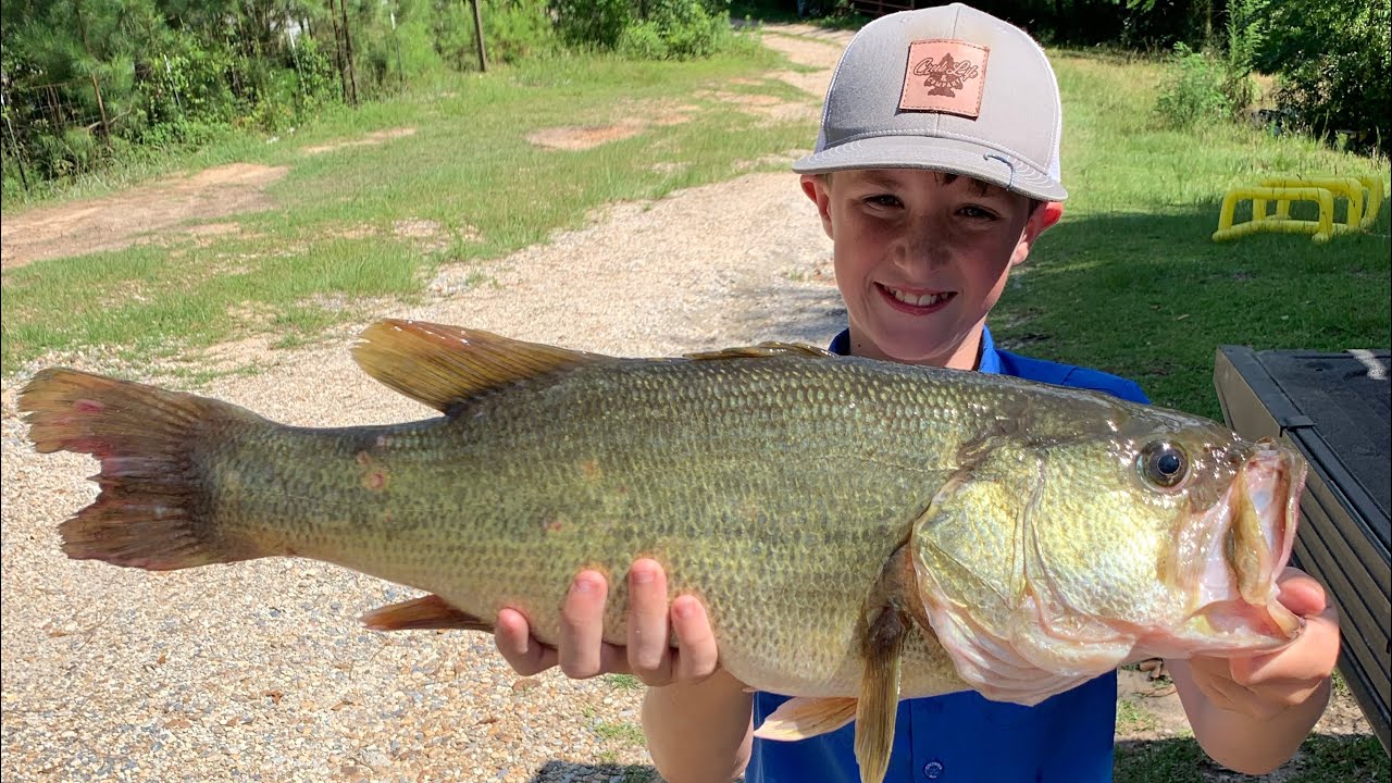 Walter F George Lake Fishing Report