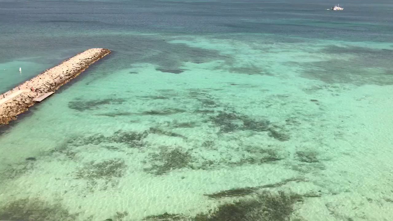 Divi Phoenix Beach, Aruba - Spring Break 2019 - YouTube