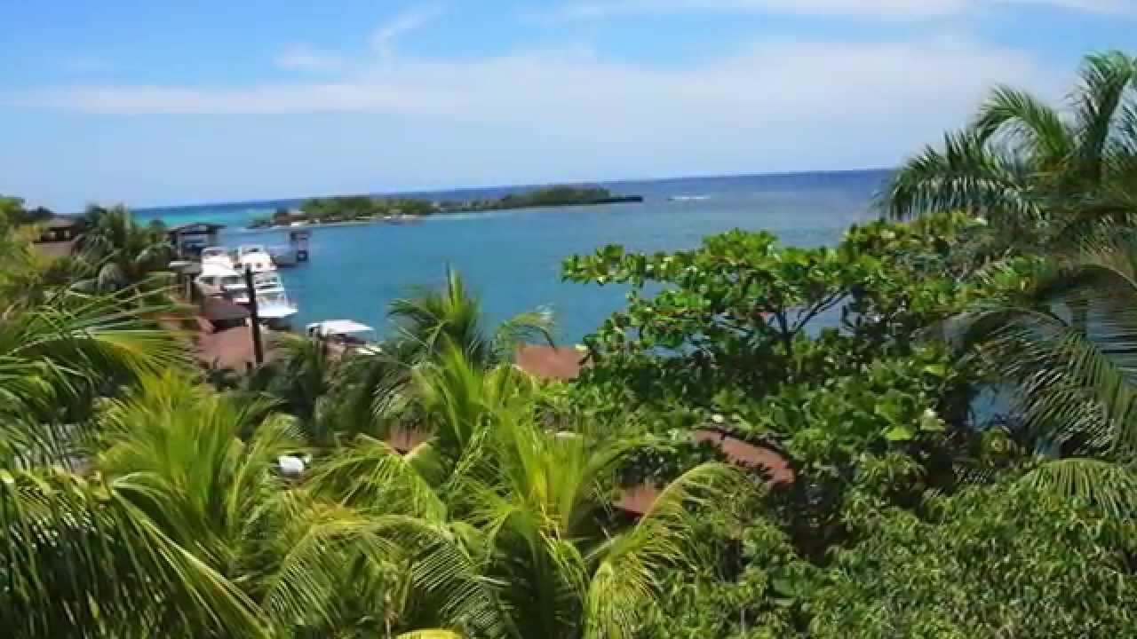 Anthony's Key Resort, Roatan, Honduras - Video Review - YouTube