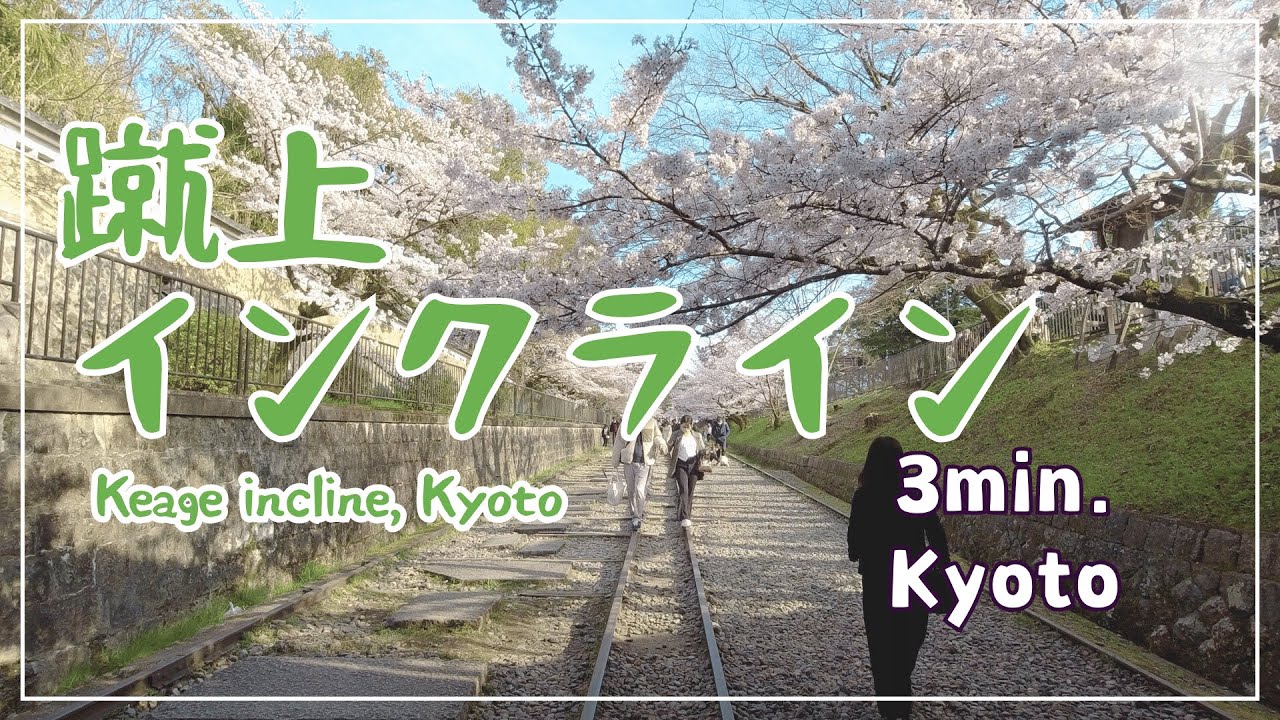 【3min Kyoto】3分で巡る「春の蹴上インクライン🌸」~Keage incline in Spring, Kyoto Japan ...