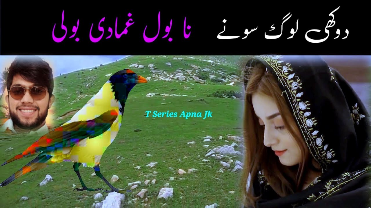 Dukhi Gogri Bait Gogre Geet official Gojri Pahari song Gojri Gana ...