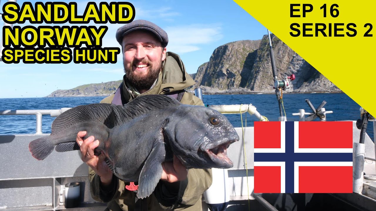 Arctic Norway Fishing : Species Hunt (EPISODE 36) - YouTube