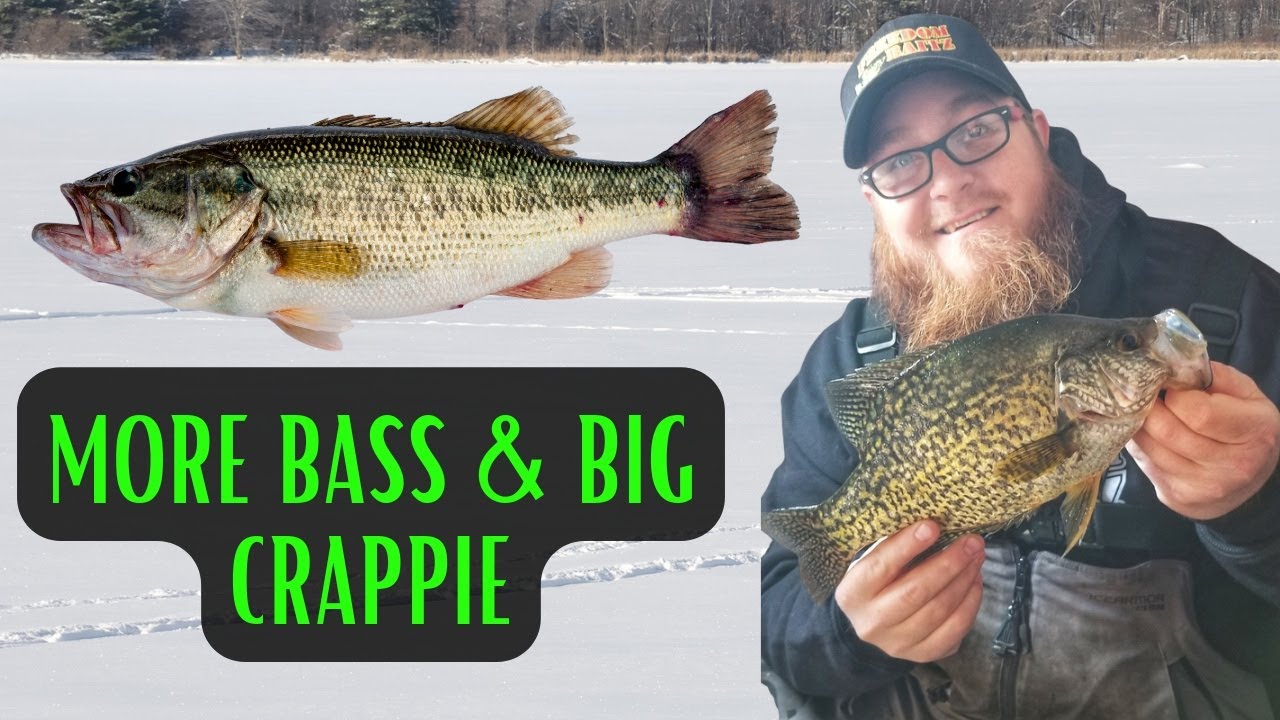 Bass Fishing & Another Big Crappie - YouTube