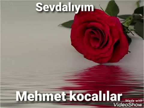 Mehmet Kocalılar Güller Gülü