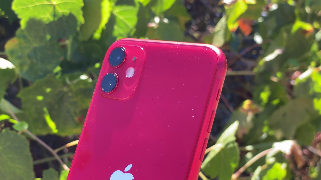 Red iPhone 11 Camera - YouTube