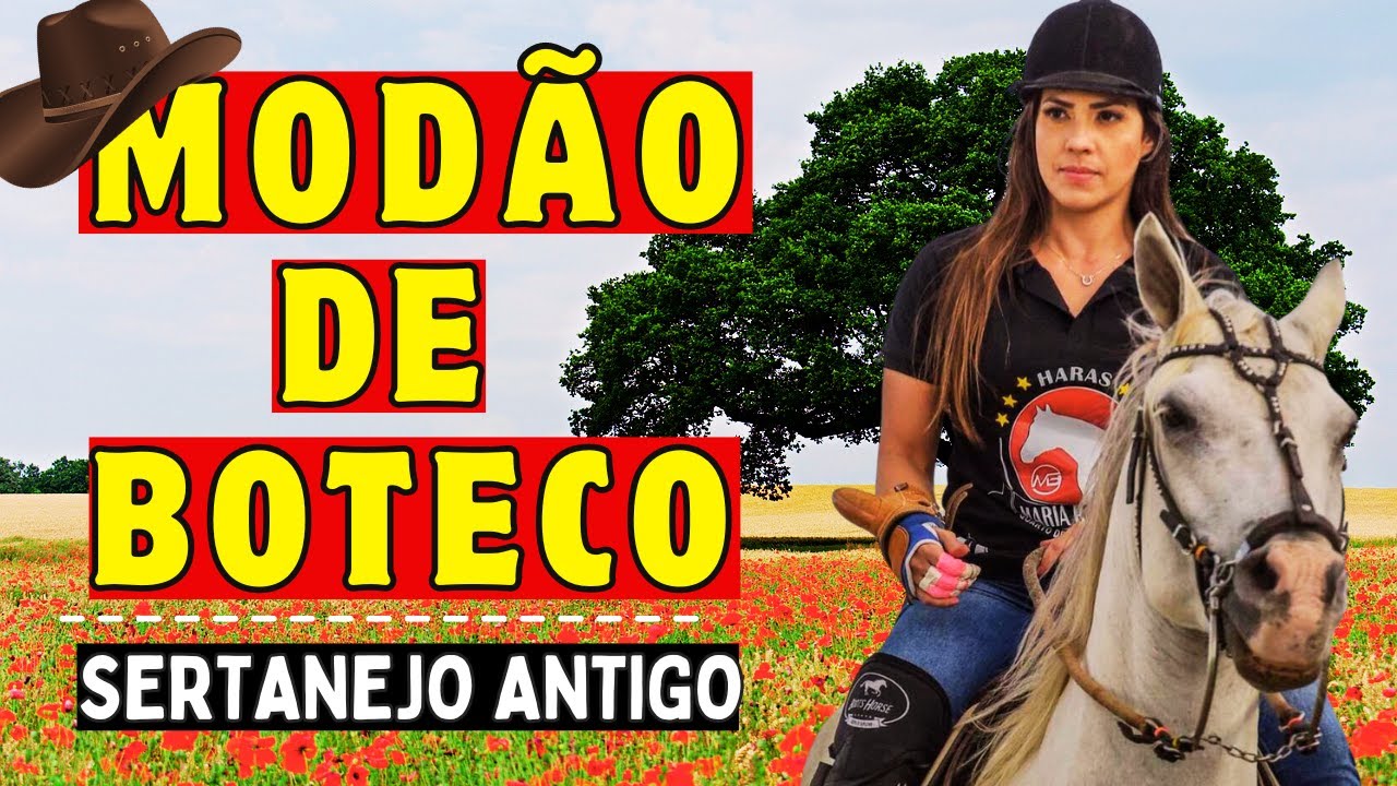 MODÃO SERTANEJO AS MELHORES -SÓ MODÃO DE BUTECO 2024 - SERTANEJO RAIZ ...