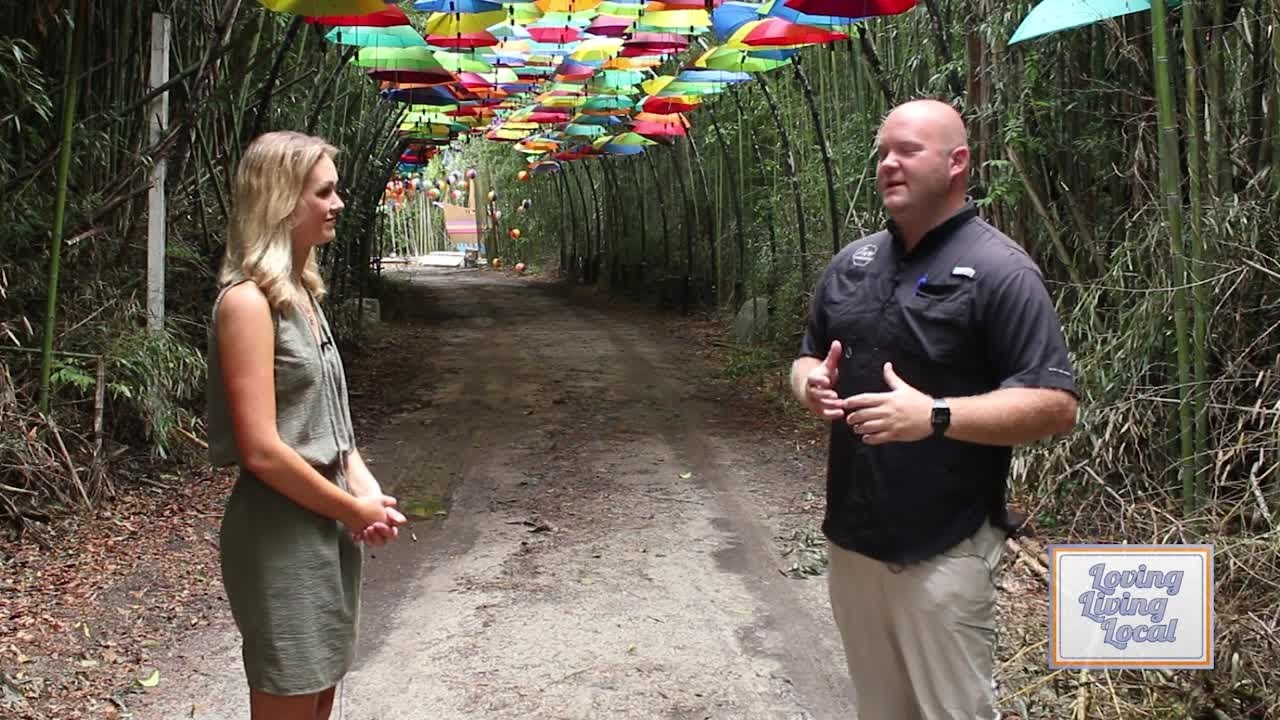 Boone Hall Pumpkin Patch 2022 - YouTube