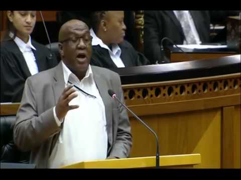 Luthando Mbinda on Youth Day debate in Parliament 11 June 2015 (PAC ...