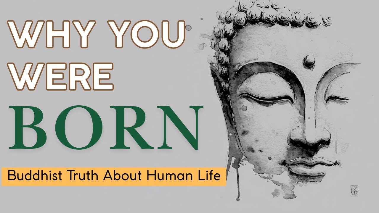 Why Human Life Is PRECIOUS But Not Easy | Buddhist Philosophy - YouTube