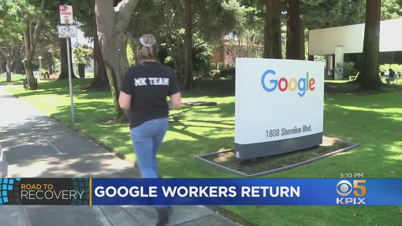COVID Reopening: Google Workers Return To The Office - YouTube