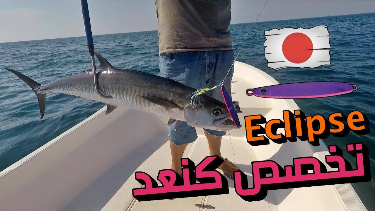 Eclipse best Jig for Kingfish Qatar Fishing season 2022/2023 اقوى جق لصيد الكنعد صيد قطر موسم ...