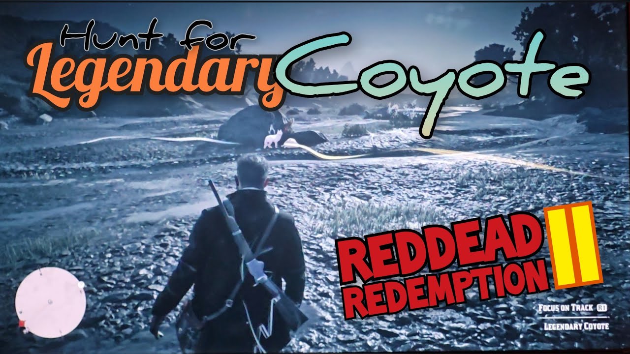 Red Dead Redemption 2 Legendary Coyote Hunt - YouTube
