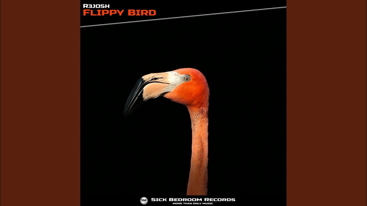 Flippy Bird (Original Mix) - YouTube