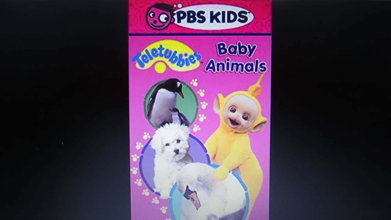 On this day in 2001, Teletubbies Baby Animals was released on VHS & DVD ...