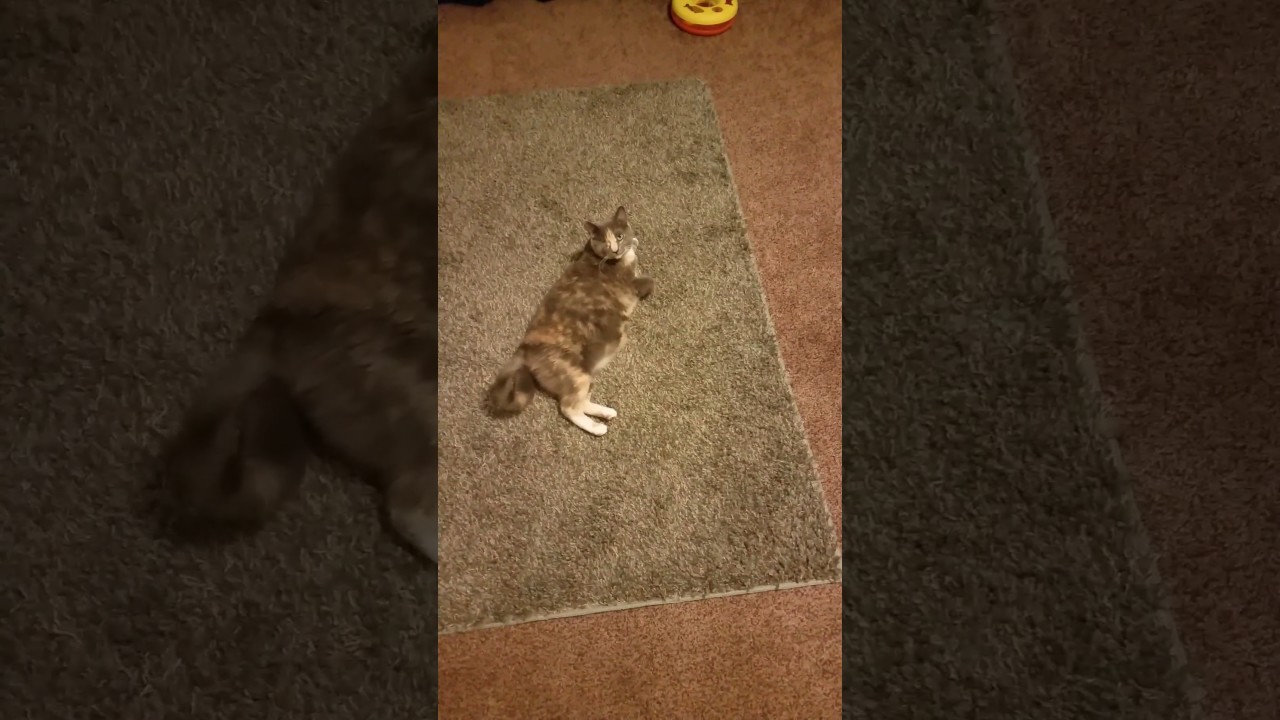 CYCLOPS CAUGHT ON CAMERA!! - YouTube