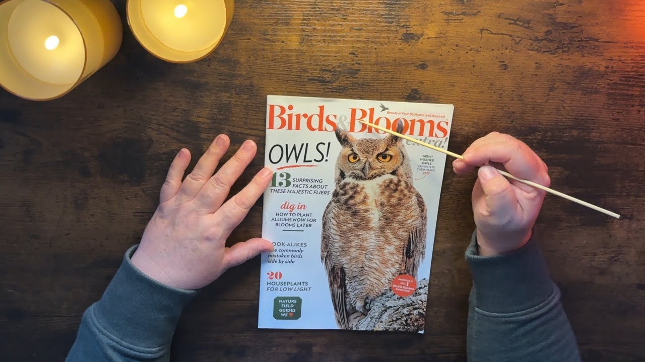 ASMR- Whispered Reading, Tracing and Page Turning- Fall Birds and ...