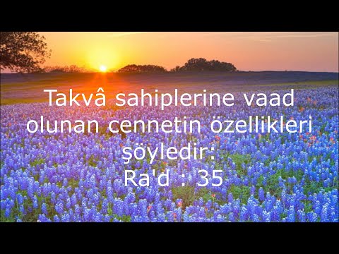 Takva Sahiplerine Va'd Olunan Cennet Şöyledir.