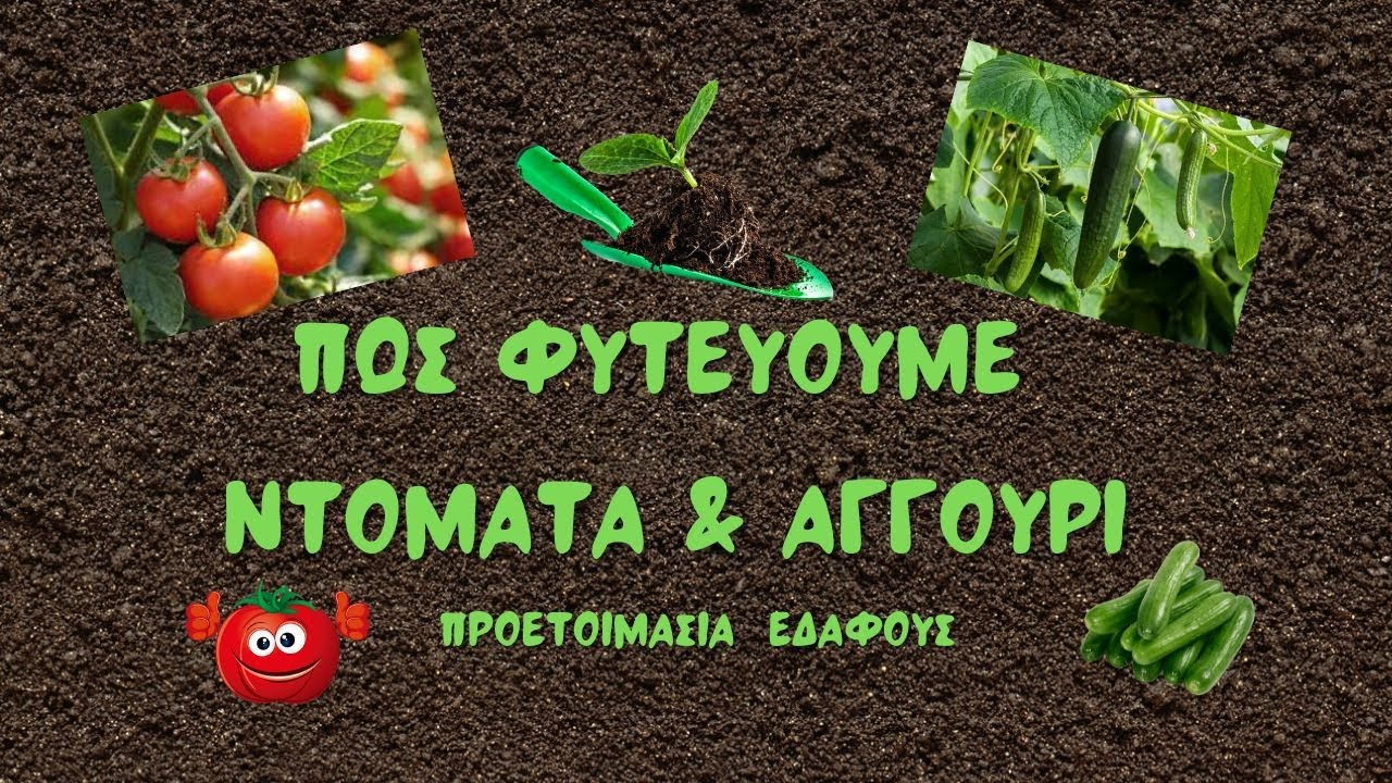ΠΩΣ ΦΥΤΕΥΟΥΜΕ ΝΤΟΜΑΤΑ & ΑΓΓΟΥΡΙ - ΠΡΟΕΤΟΙΜΑΣΙΑ ΕΔΑΦΟΥΣ - YouTube