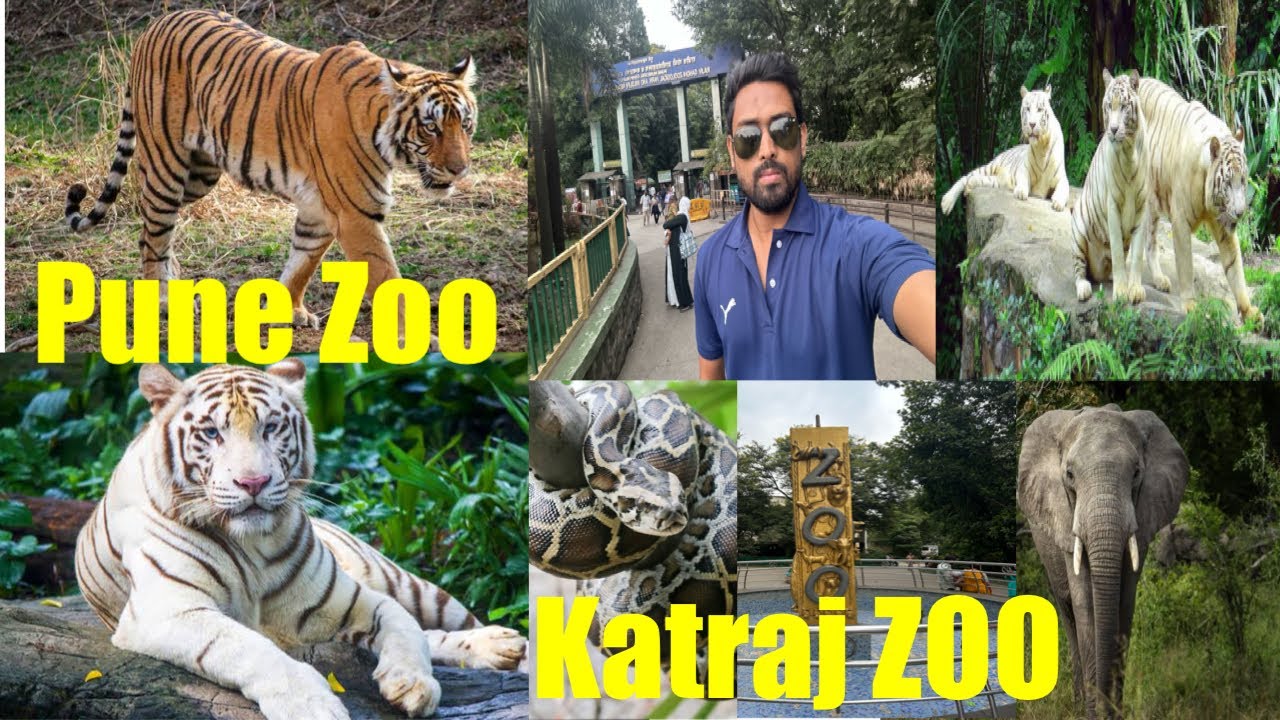 Pune Zoo in Katraj | Rajiv Gandhi Zoological Park in Pune | Complete ...
