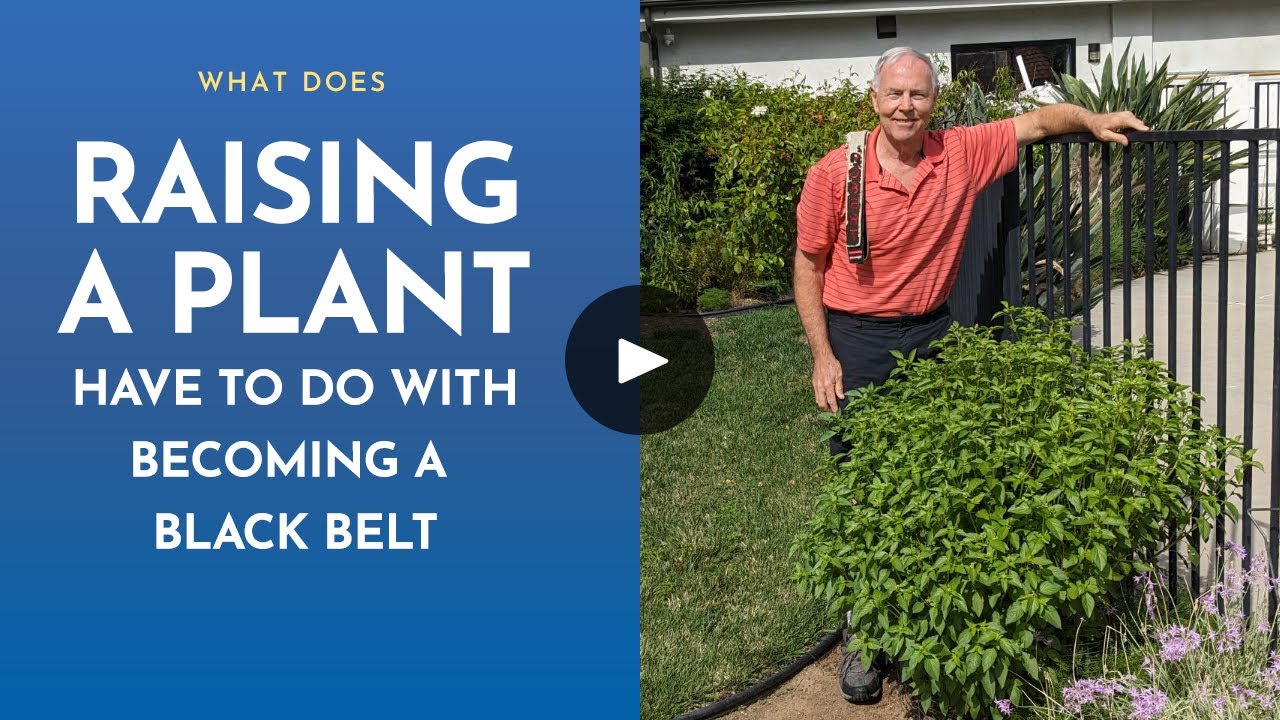 What does raising a plant have to do with becoming a Black Belt? - YouTube