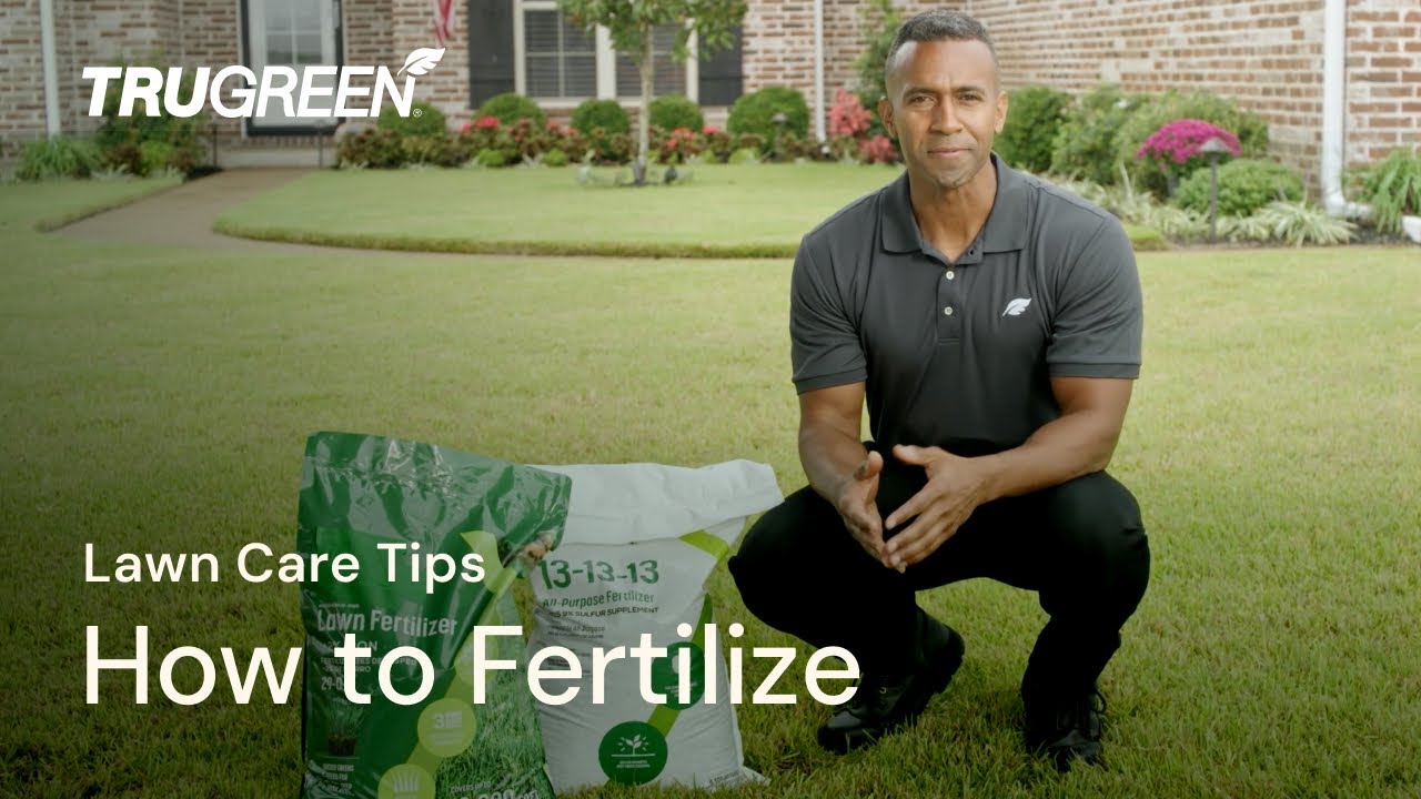 DIY Lawn Care Tips | How to Fertilize Your Lawn the Right Way - YouTube